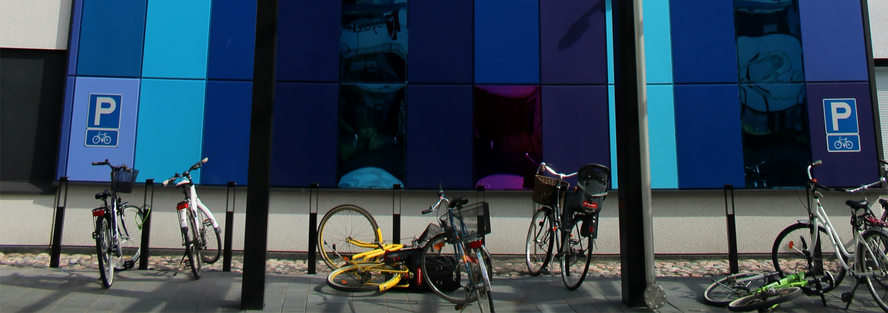 Adecuar la industria a su nuevo ‘ciudadano de primera clase’: el dato ...